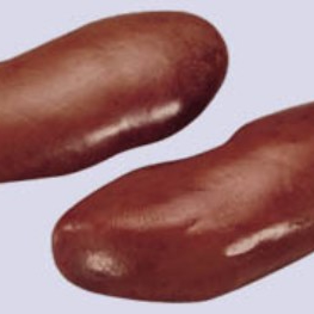 Wholesale Frozen Pork Offals | Kühne + Heitz