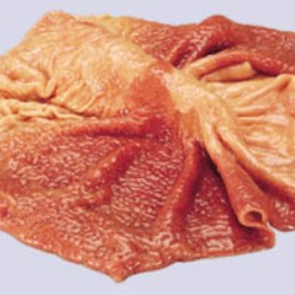 Wholesale Frozen Pork Offals | Kühne + Heitz