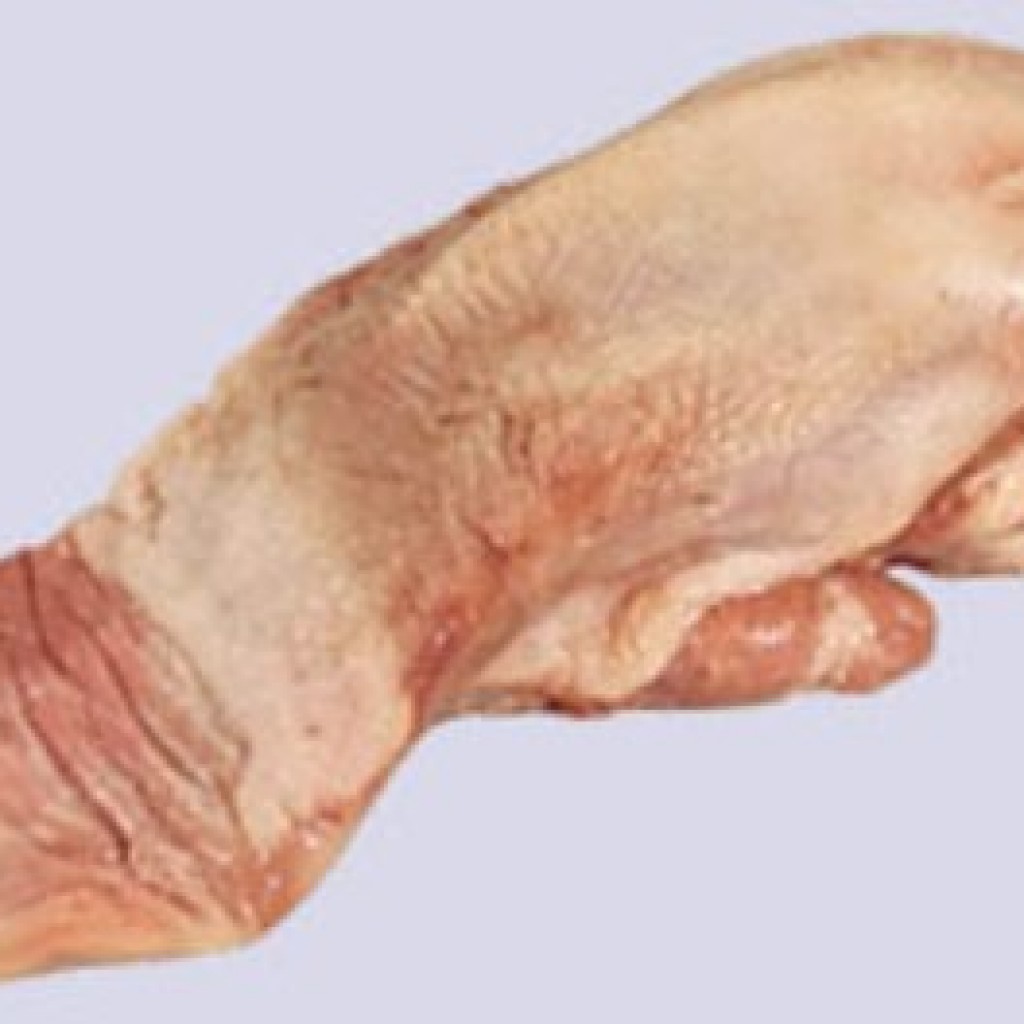 Wholesale Frozen Pork Offals | Kühne + Heitz