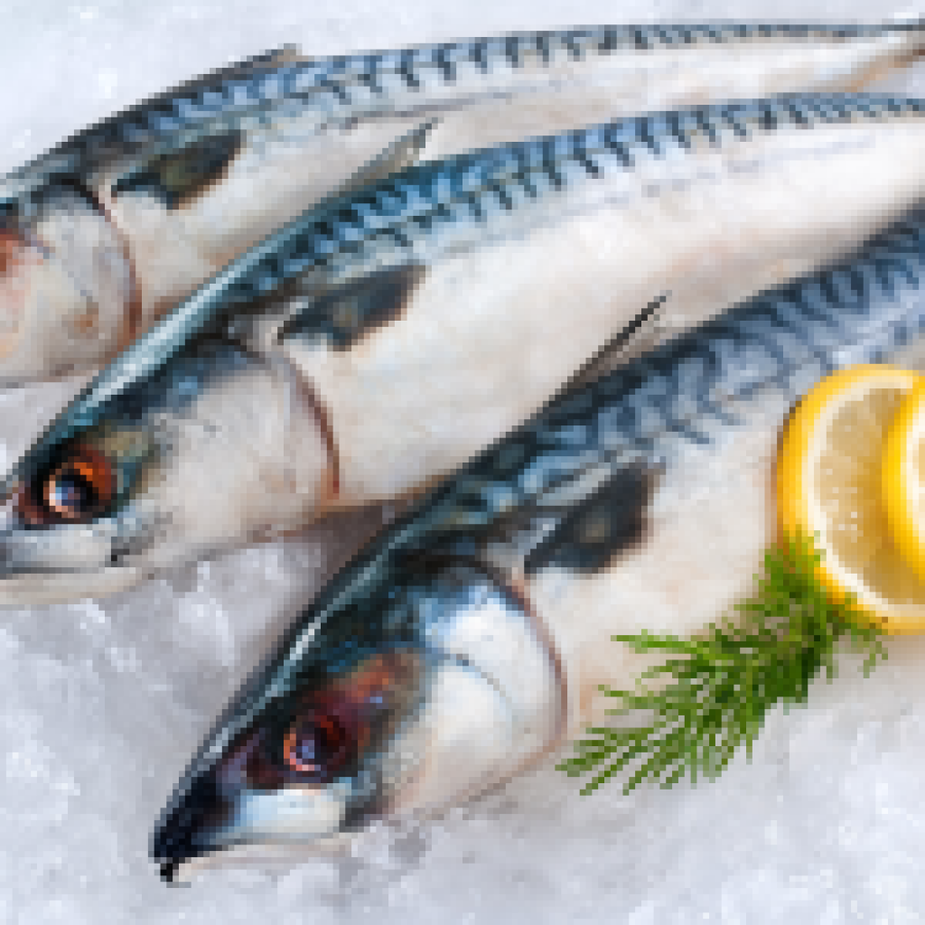 Wholesale Fish Africa - Kühne + Heitz Import Export